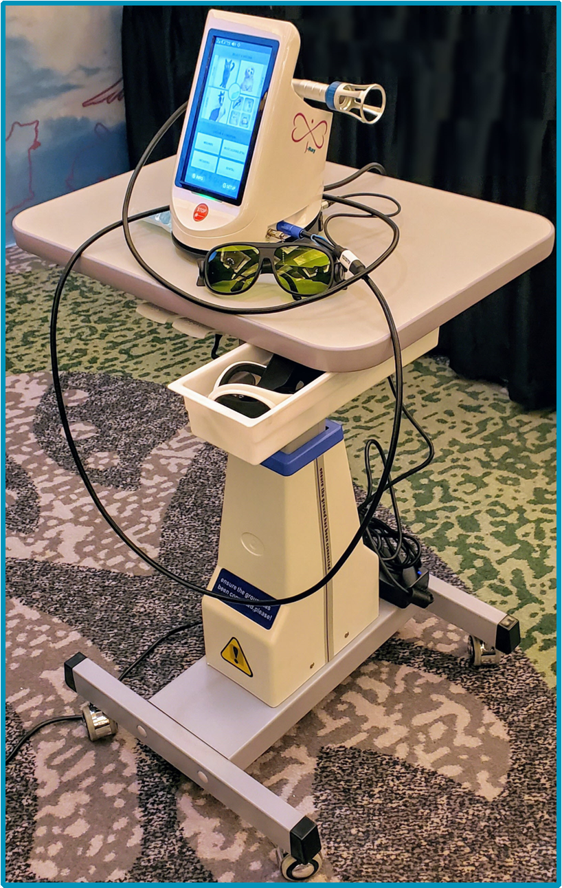 J-Ray Laser Systems: Therapy and Surgery Laser System in One Unit ...